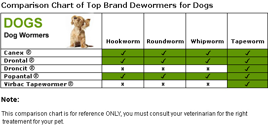 Wormers in Dogs : Buy Deworming Treatments for Dogs Online ...