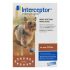 Interceptor Vs Interceptor Plus: Best Heartwormers for Dogs?