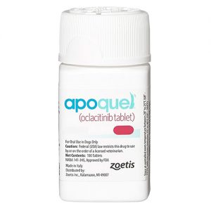Is Apoquel the Solution to All Your Dog’s Allergy Problems?