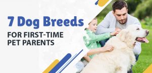 First-Time Pet Parents – 7 Best Dog Breeds for Beginners