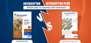 Interceptor Vs Interceptor Plus: Best Heartwormers for Dogs?