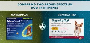 Nexgard Plus Vs. Simparica Trio: Which One is Better For Dogs?