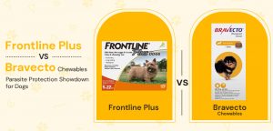 Frontline Plus vs. Bravecto Chewables: Dog Flea & Tick Medicine