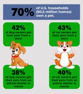 Fun Facts About Your Pets You Didn’t Know