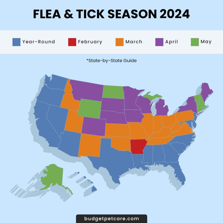 Flea and Tick Season 2024: Your State-By-State Guide