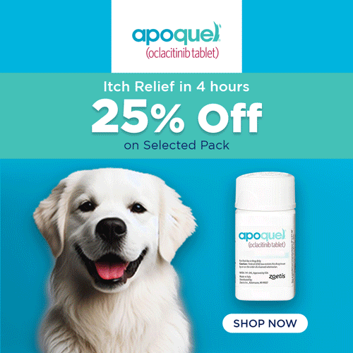 Interceptor Vs Interceptor Plus: Best Heartwormers for Dogs?