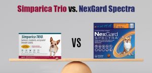 Simparica Trio vs. NexGard Spectra: Which is the best in 2023?
