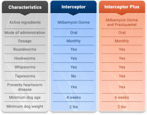 Interceptor Vs Interceptor Plus: Best Heartwormers for Dogs?