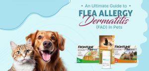 Flea Allergy Dermatitis (FAD)