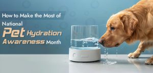 National Pet Hydration Awareness Month: July 2024