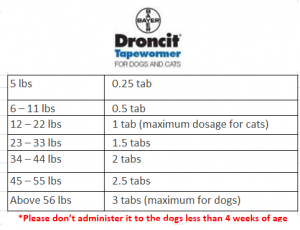 Dewormer Comparison : Droncit to Drontal Plus to Revolution