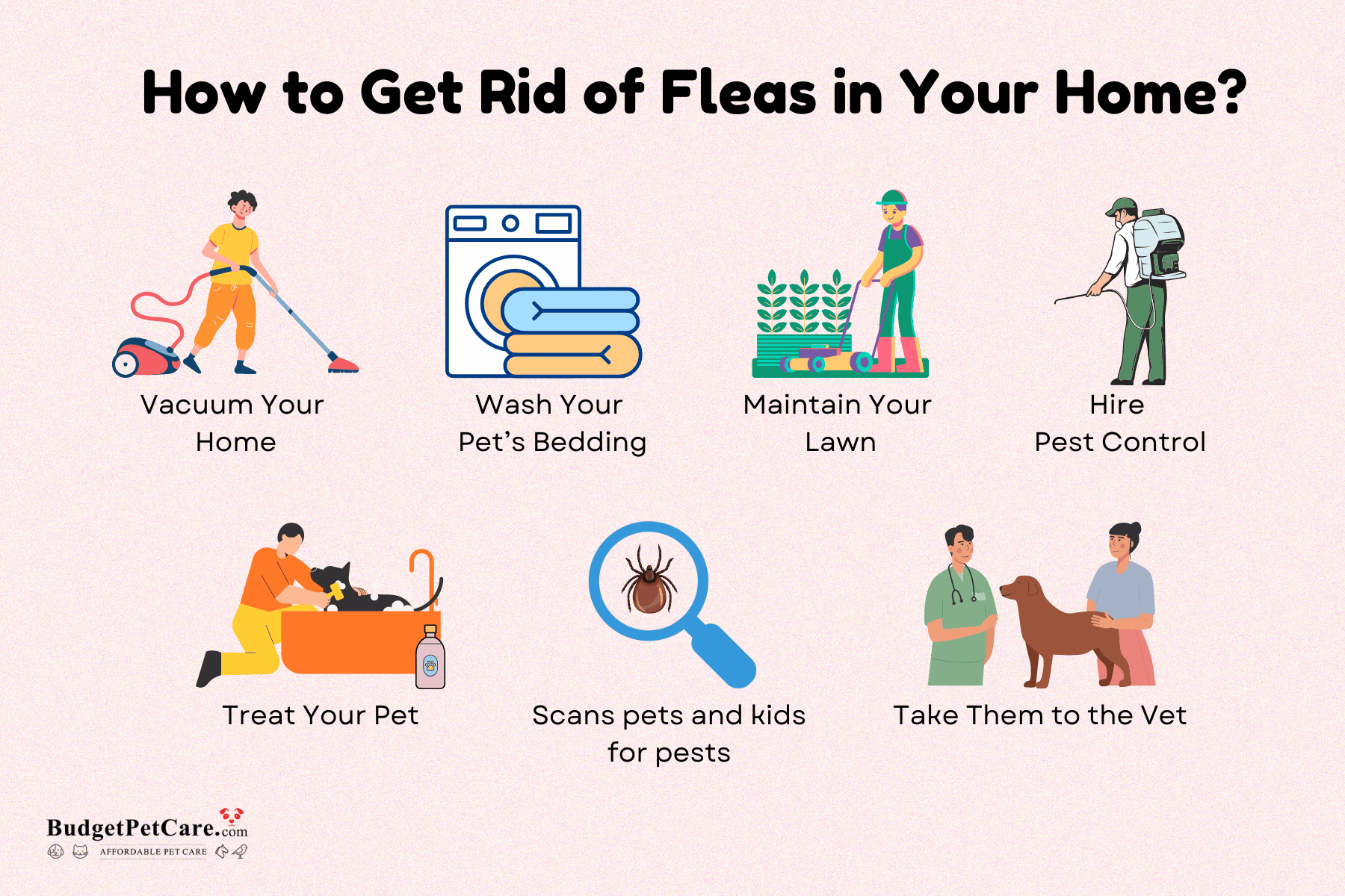 How to Get Rid of Fleas in Your Home? Guide to Eliminate Them!