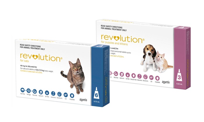 Revolution for Dogs and Cats – Protection You Can Trust