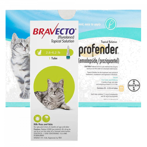 What are the Best dewormers for Cats?