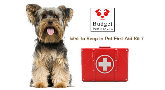 This National Pet First Aid Awareness Month Find What To Keep