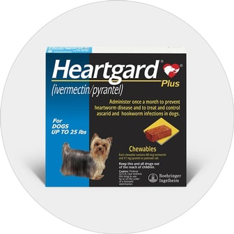 Buy Heartgard Plus for Dogs | Free Shipping - BudgetPetcare