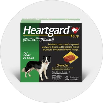 Buy Heartgard Plus for Dogs | Free Sipping - BudgetPetcare