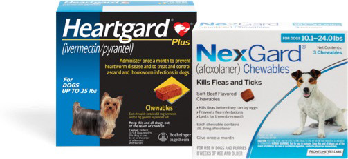 Buy Heartgard Plus for Dogs | Free Shipping - BudgetPetcare