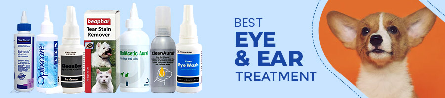 Best Eye & Ear Drops for Dogs: Conjunctivitis & Infection Treatments ...