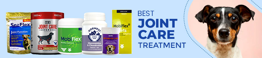 Joint Supplements for Dog: Arthritis Treatments | Dog Glucosamine ...