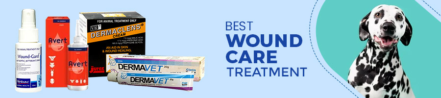 Dog Open Wound Treatments & Sprays | Antibiotics & Anti Licking Cream ...