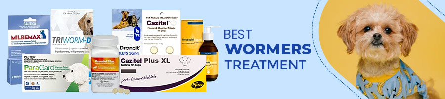 Best Dog Worming Treatment: Tapeworm Treatment for Dogs & Puppies | Dog ...