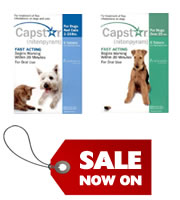 Buy Capstar (Nitenpyram) Flea Pill for Dog at Best Price