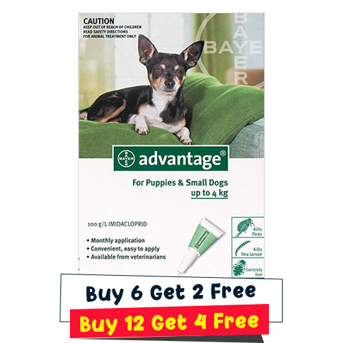 Buy Advantage for Dogs: Best Topical Flea Treatment Online