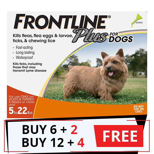 Buy Frontline Plus for Dogs: Vet's Best Flea & Tick Treatment