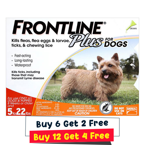 Buy Frontline Plus for Dogs: Vet's Best Flea & Tick Treatment