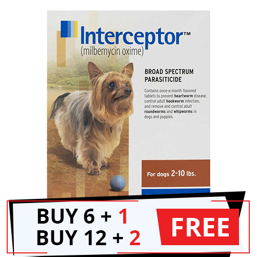 Interceptor: Heartworm Prevention | Milbemycin for Dogs